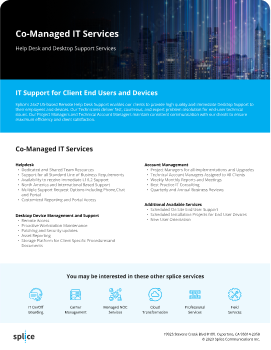 Co-Managed IT Services